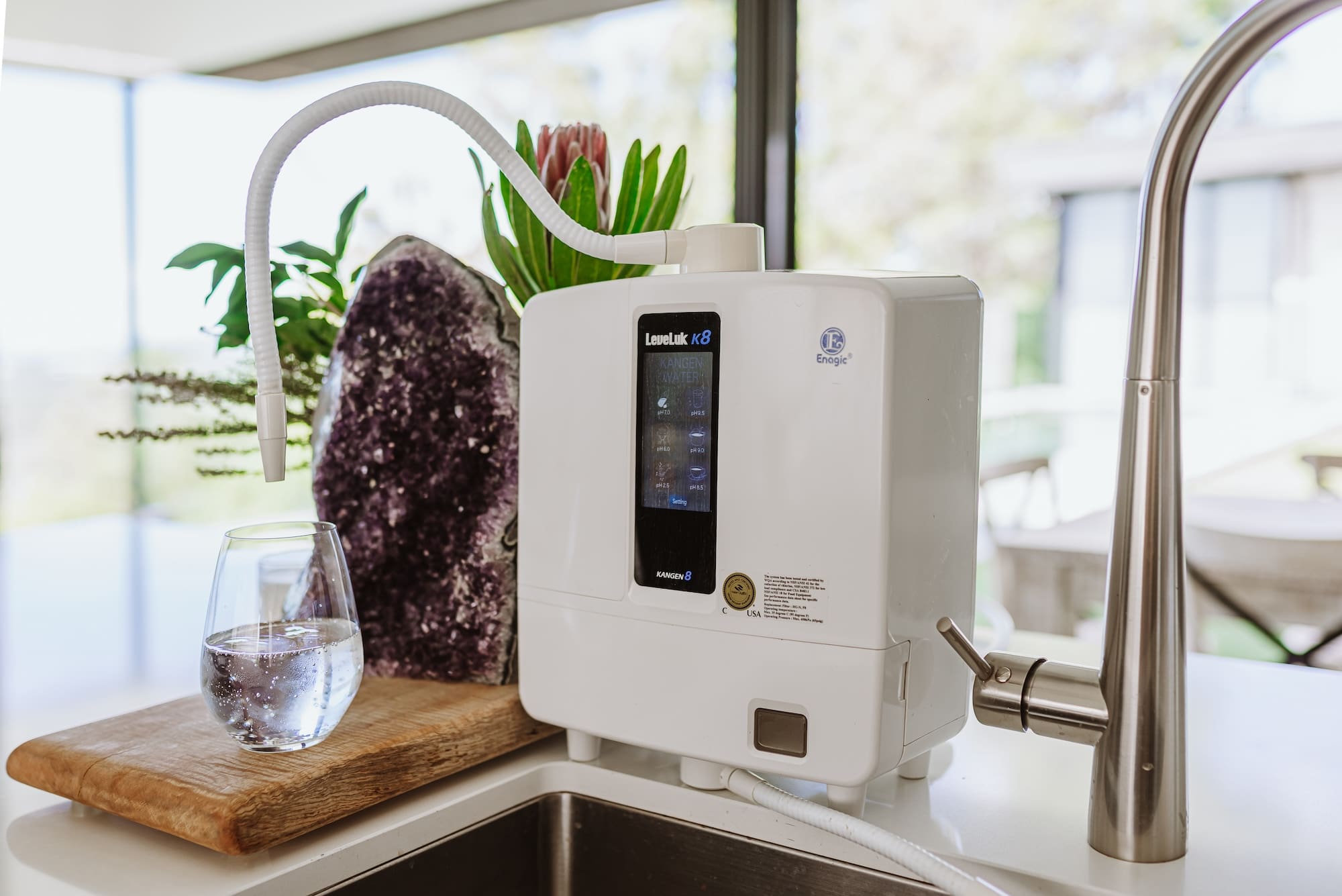 Enagic - Energetic Water - Zanti Ayurveda